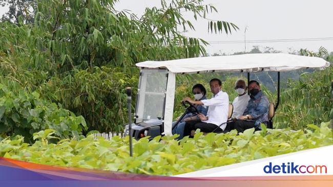 Jokowi Sopiri Megawati Saat Tinjau Persemaian Modern Rumpin Bogor