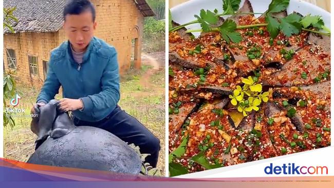 Masak Hati Babi, TikToker Ini Bikin Netizen 'Salfok' dengan Caranya
