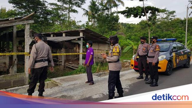 Seekor Sapi Limosin Milik Warga Kulon Progo Raib Digondol Maling