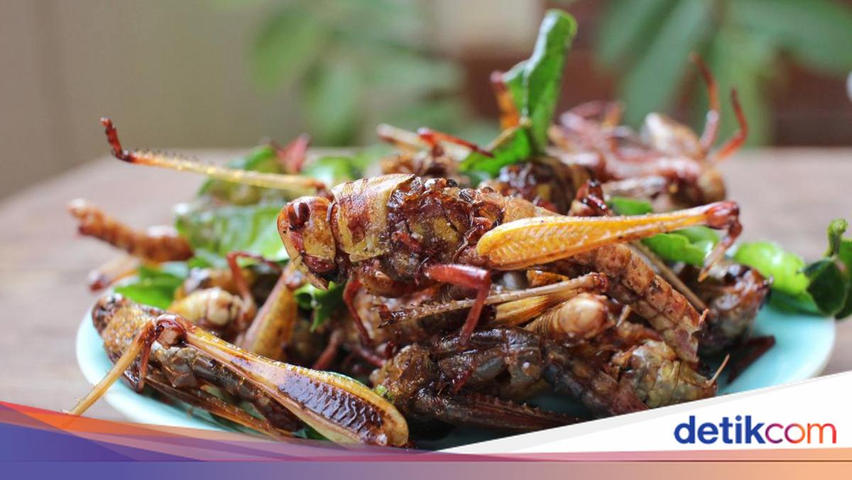 Ini 5 Serangga Sumber Protein Tinggi, Belalang hingga Larva Lebah