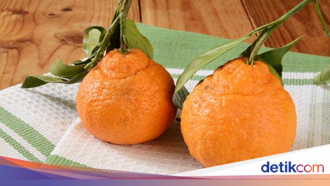 Sumo Oranges, Jeruk Manis Tanpa Biji Asal Jepang yang Viral di Amerika