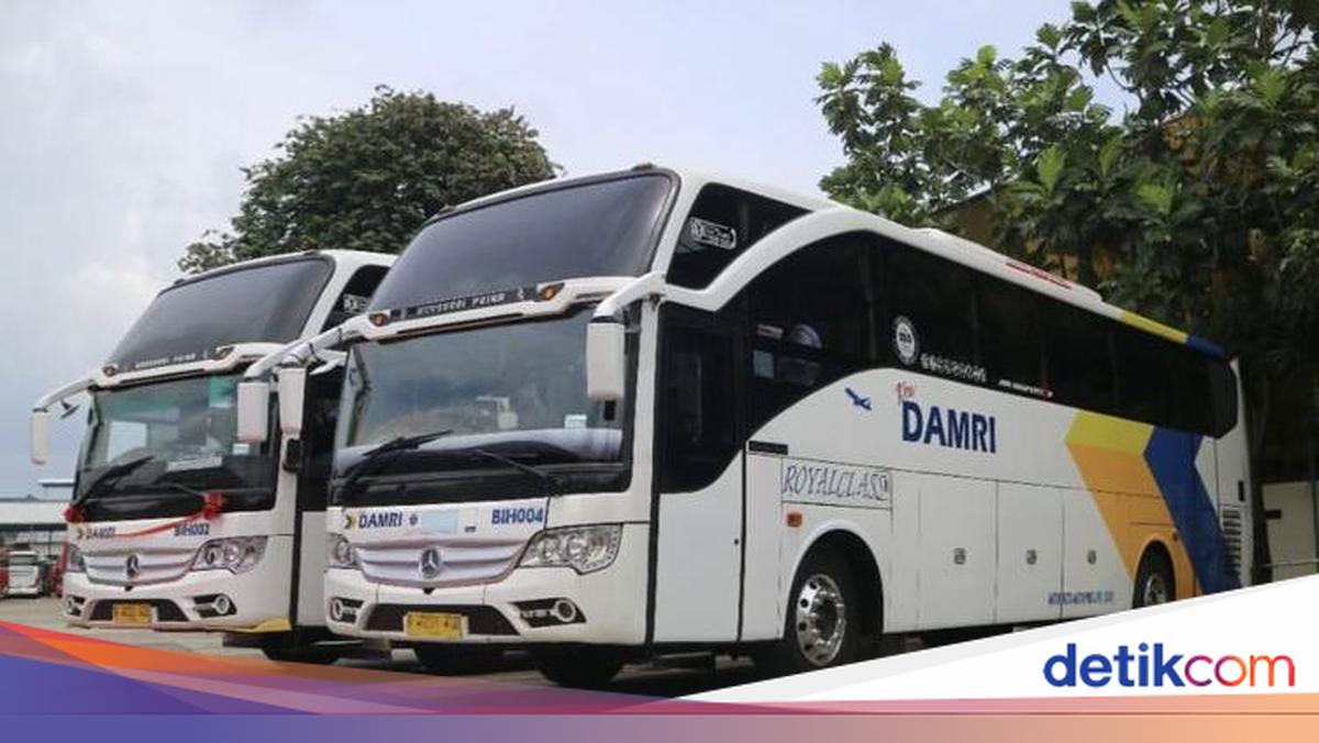 Catat! Ini Harga Tiket Murah Damri di Kawasan Danau Toba