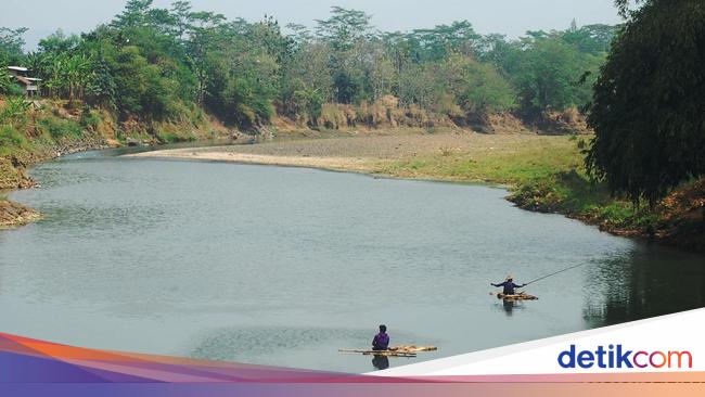 Sungai Citanduy-Ciwulan Tercemar, 19 Jenis Ikan Ini Mulai Sulit Didapat