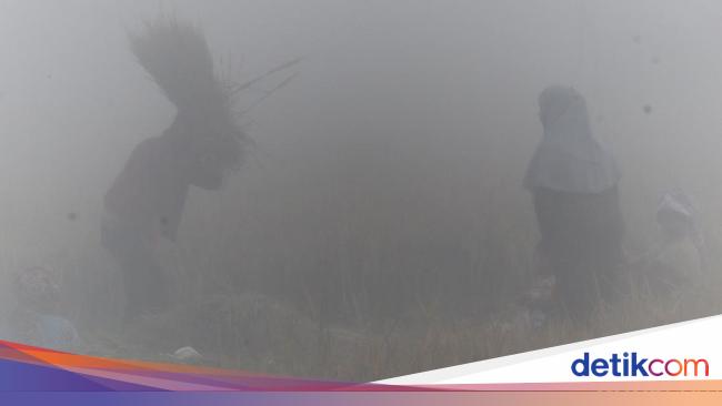 Snapshot: Semangat Petani di Tengah Dinginnya Pagi dan Kabut Tebal