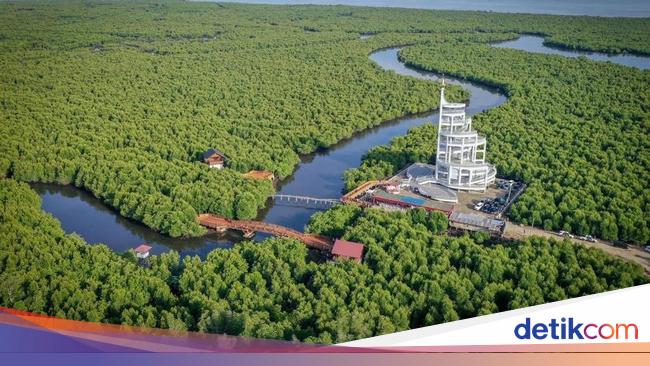 Mantul Nih, Pemandangan Tower Mangrove Forest Park Langsa