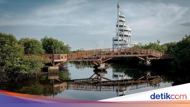 Ada Ikon Wisata Baru di Aceh Nih, Tower Mangrove Forest Park Langsa