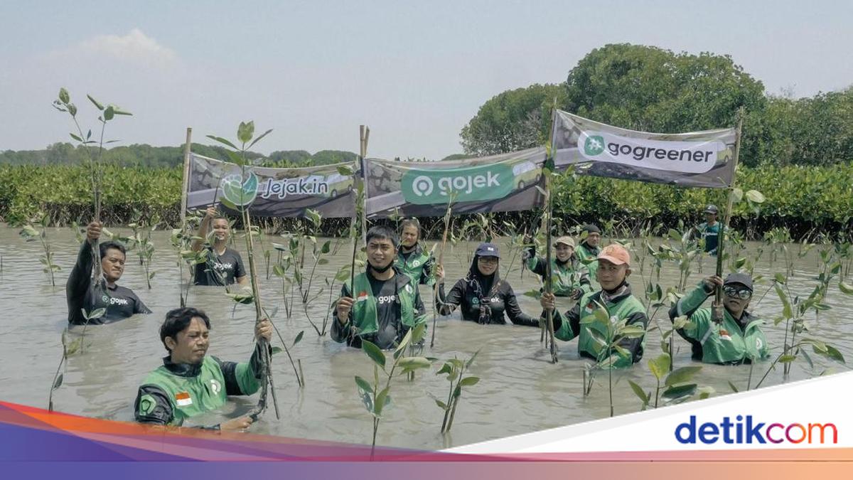 GoGreener Capai 5.000 Pohon, Gojek Bidik Penanaman Pohon di Hari Bumi