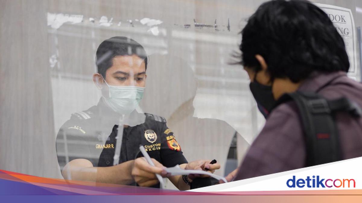 Apa Itu Bea Cukai? Ini Pengertian, Fungsi, Tugas, dan Contohnya