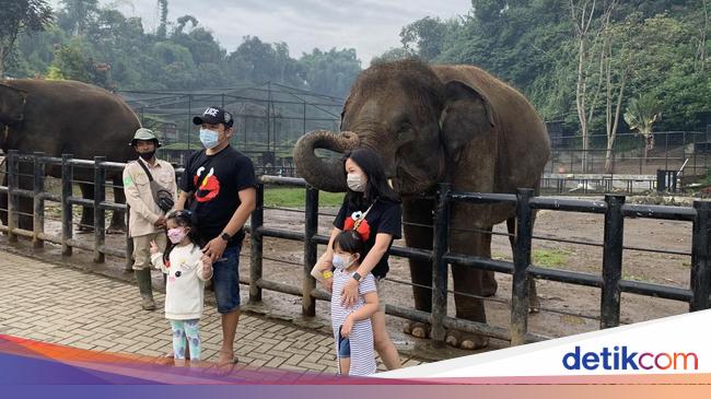 Liburan di Lembang Park and Zoo: Fasilitas hingga Harga Tiket