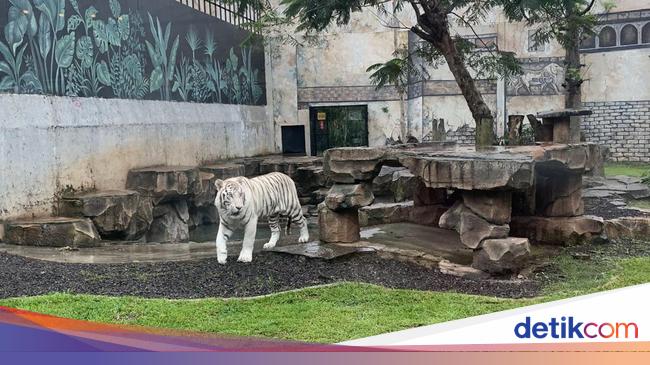 Lembang Park & Zoo, Harga Tiket Masuk dan Wahana di Dalamnya
