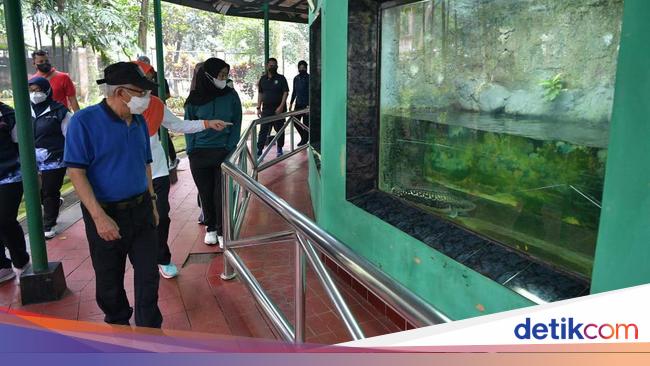Ma'ruf Amin Cek Persiapan Ragunan Hadapi Libur Lebaran, Ingatkan soal ... Ma'ruf Amin Cek Persiapan Ragunan Hadapi Libur Lebaran, Ingatkan soal ...