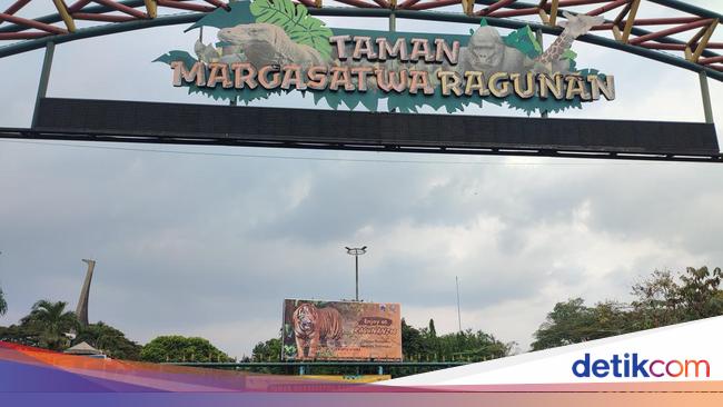 Tiket Masuk Kebun Binatang Ragunan, Info Harga dan Cara Membelinya Tiket Masuk Kebun Binatang Ragunan, Info Harga dan Cara Membelinya