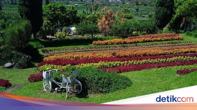 Main Bareng Kelinci Hingga Swafoto Instagramable di Happy Farm Ciwidey