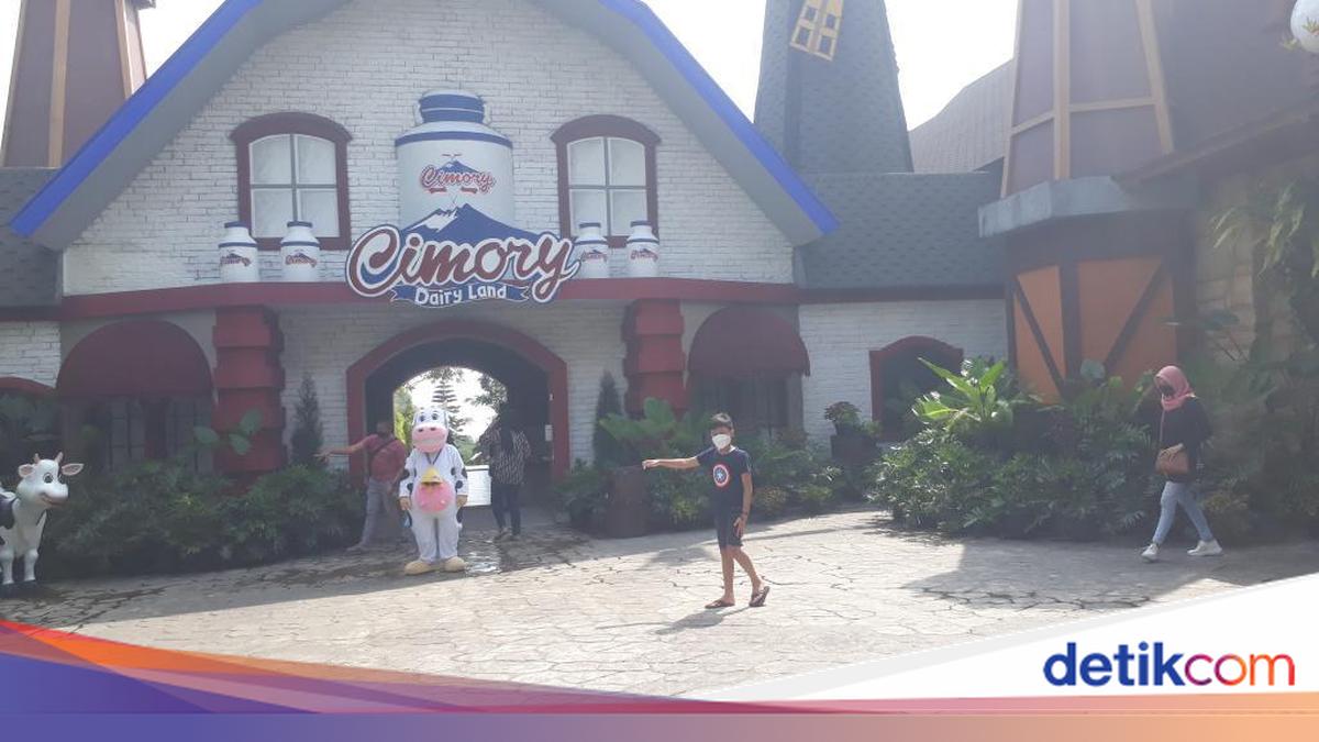 Cimory Kantongi Rp 2 Triliun dari Perusahaan AS