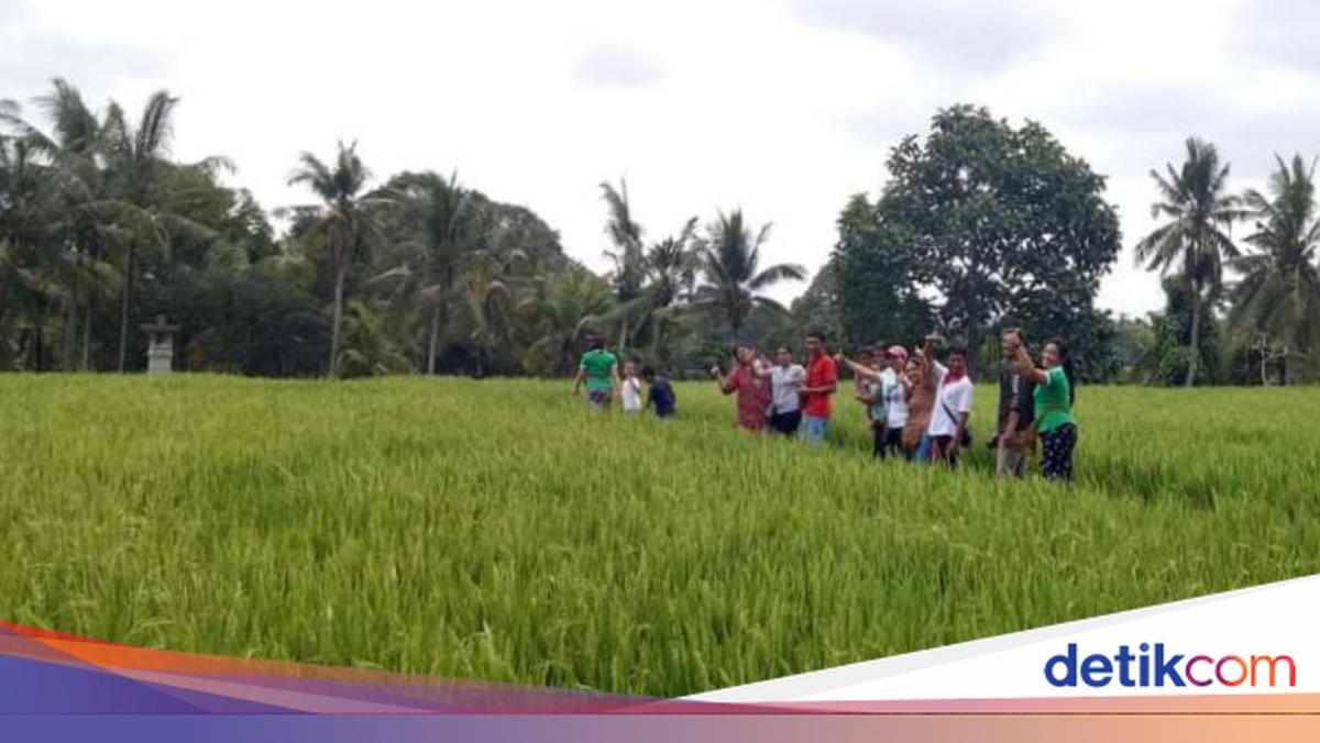 Menjelajah Ekowisata Nyambu Tabanan, Jangan Asal Sambil Lalu