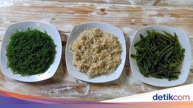 Cobain Khas Bali Nih, Rujak Bulung yang Dicampur Kuah Pindang