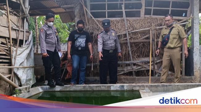 Terjadi Lagi, Balita Tulungagung Tewas Tenggelam di Kolam Ikan