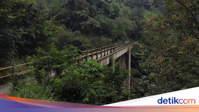 Dear Pelancong, Ini Rute ke Jembatan Plunyon 'KKN di Desa Penari'
