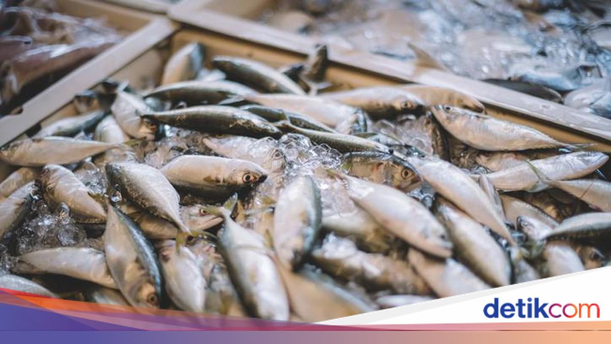 Ini 5 Cara Memilih Ikan Segar ala Tukang Ikan, Gampang Dicontek