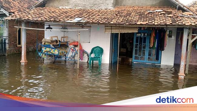 Banjir Rob Juga Terjang Pesisir Pekalongan, Rendam Permukiman