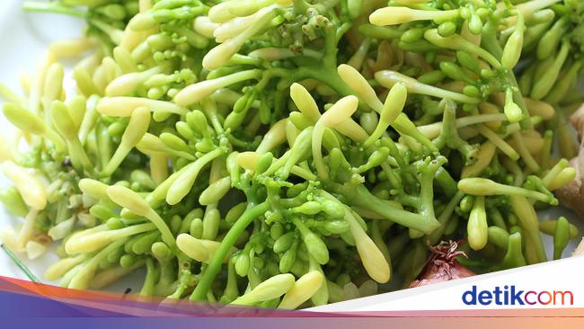 10 Bunga yang Bisa Dimakan dan Manfaatnya, Ada Melati hingga Lavender