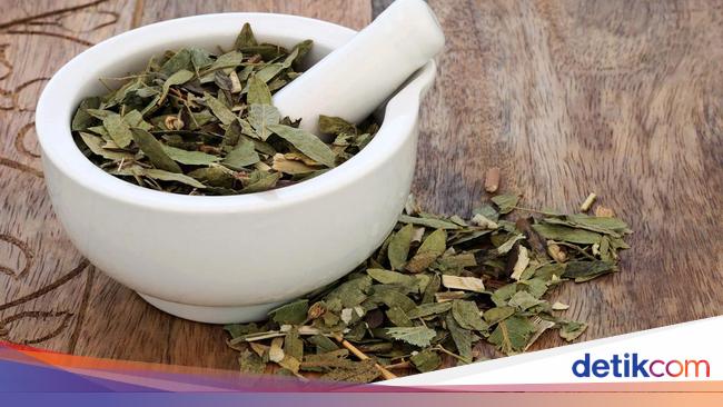 Mengenal Daun Senna yang Disebut Bisa untuk Diet Penurunan Berat Badan