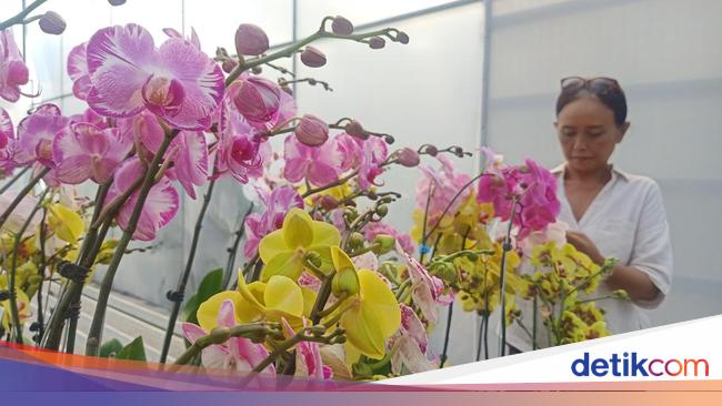 Wisata Sambil Belajar di Taman Bunga Anggrek Denpasar