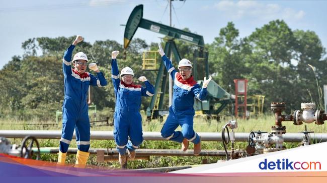 Anak Usaha Pertamina Buka 48 Lowongan Kerja, Ini Daftar Posisinya