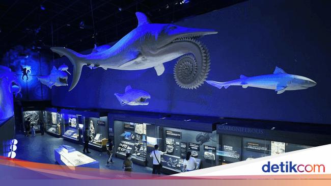 Serunya Bertualang Dunia Bawah Laut di Museum Maritim China