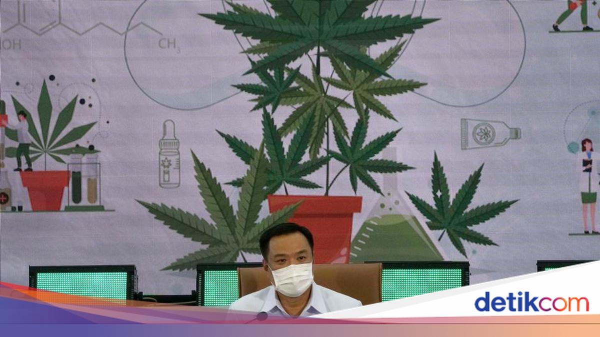 Thailand Resmi Mulai Legalkan Ganja