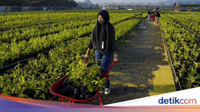 Melihat Hijaunya Pusat Persemaian Rumpin di Bogor