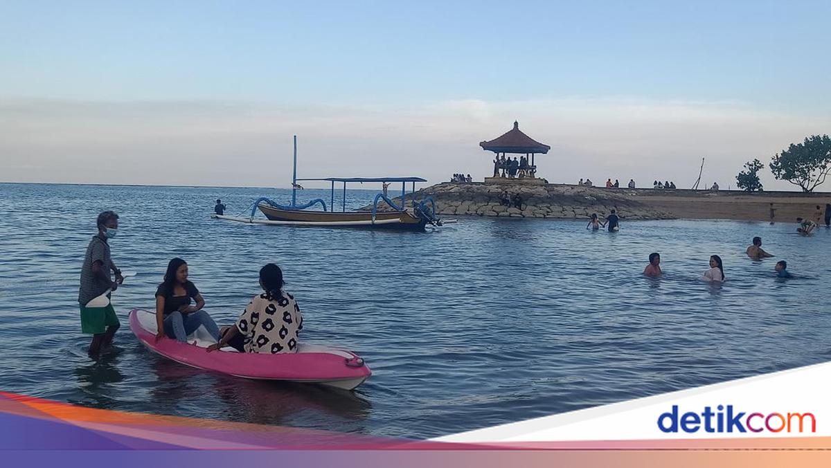 Hati-hati Main ke Pantai Sanur Bali, karena Muncul Ubur-ubur Beracun