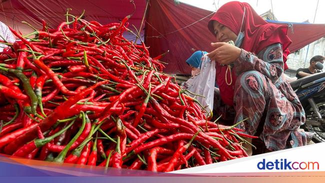 Harga Cabai Merah di Denpasar Bertahan Tinggi Rp 52 Per Kilo