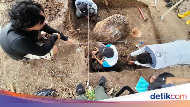 Serba-serbi Fosil: Pengertian, Syarat, Proses Pembentukan, dan Jenisnya Serba-serbi Fosil: Pengertian, Syarat, Proses Pembentukan, dan Jenisnya