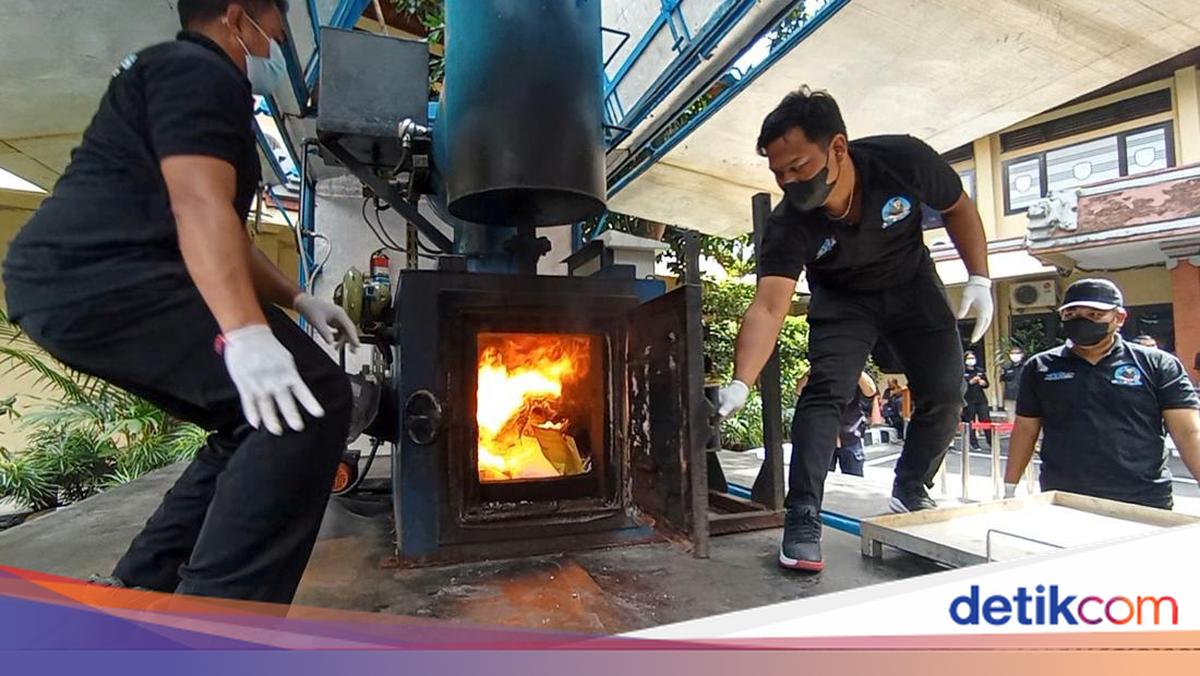 Pemusnahan Narkoba Milik DPO Bule Australia di Bali