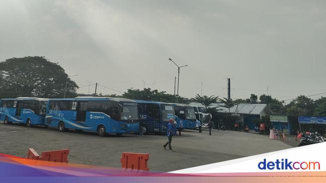 Mungkinkah Perluas Rute di Depok? TransJ Bakal Lihat Kebutuhan
