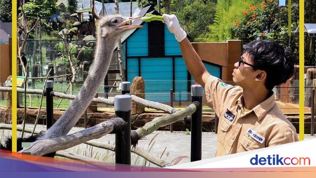 4 Rekomendasi Kebun Binatang di Bandung, Jadi Wisata Edukasi Favorit