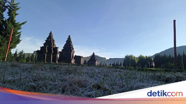Wisatawan Happy Banget Lihat Embun Es Saat Dieng Minus 1 Derajat Celsius