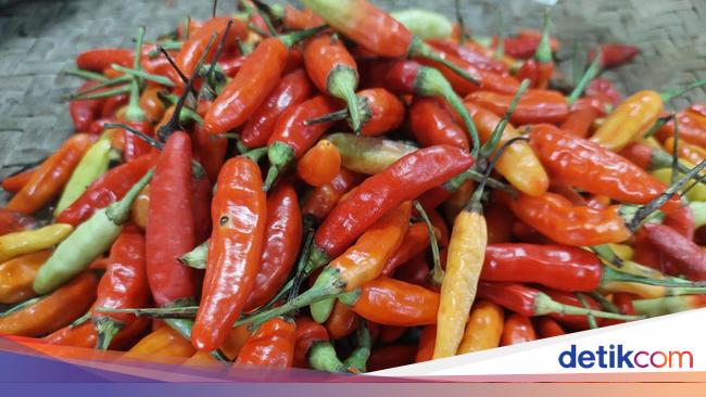Harga Cabai Rawit Makin 'Pedas', Wagub Emil Beberkan Penyebabnya