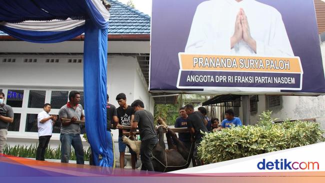 Prananda Surya Paloh Sumbang Hewan Kurban di Medan dan Deli Serdang
