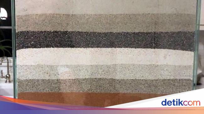 10 Barang Paling Aneh yang Dikoleksi Manusia, Daun Hingga Gigi Hiu