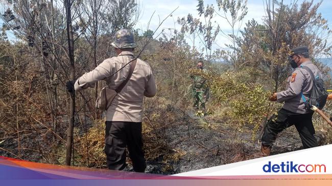 Karhutla di Rokan Hulu Meluas, Petugas Kesulitan Padamkan Api