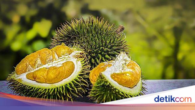Ternyata Ini Alasan Bau Durian Menyengat