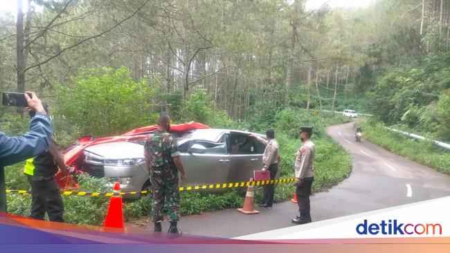 Tak Ada Angin Dan Hujan Pohon Tumbang Timpa Mobil Pengemudi Tewas