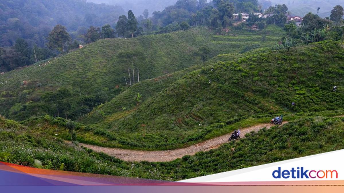 Tour Malasari 2025: Bibit Event Sepeda Nasional di Kabupaten Bogor