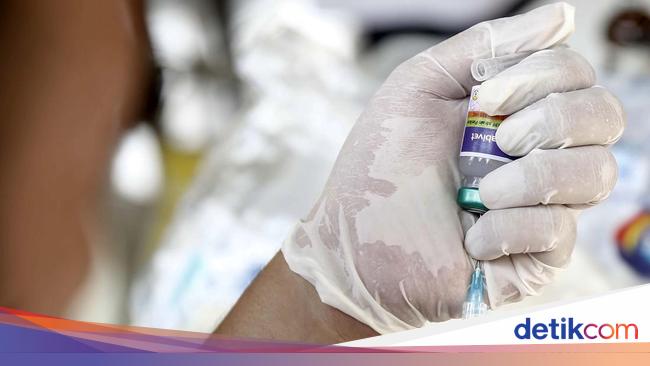 Vaksinasi Rabies Pemkot Bandung, Pemilik Kucing dan Anjing Merapat Vaksinasi Rabies Pemkot Bandung, Pemilik Kucing dan Anjing Merapat