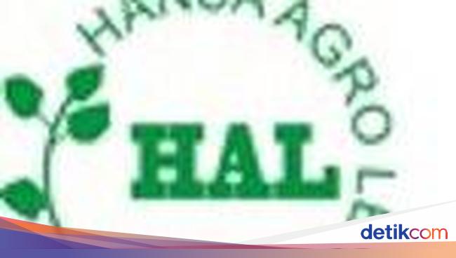 Loker Bali, PT Hansa Agro Lestari Buka Lowongan Accounting dan Admin