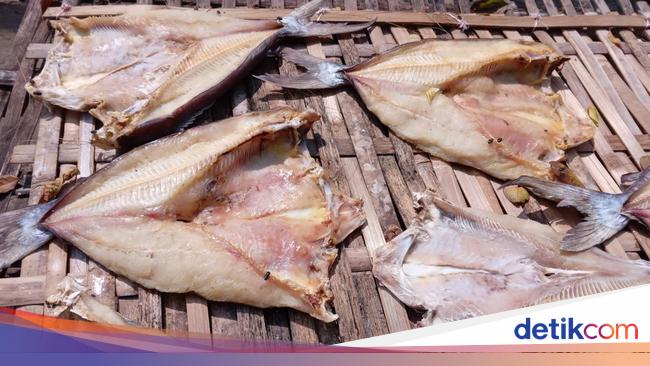 Penting! Tips Beli Ikan Asin Jambal Roti Asli dari Ahlinya