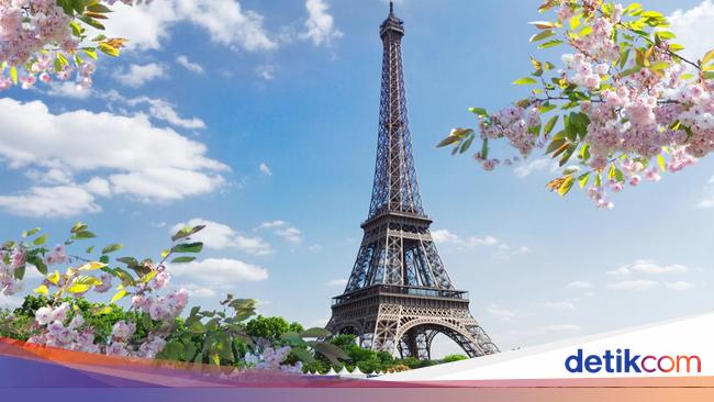 Warga Paris Akan Hidup Berdampingan dengan Kutu Busuk dan Tikus!