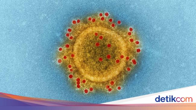 Sejarah Virologi, Cabang Ilmu yang Mempelajari Virus